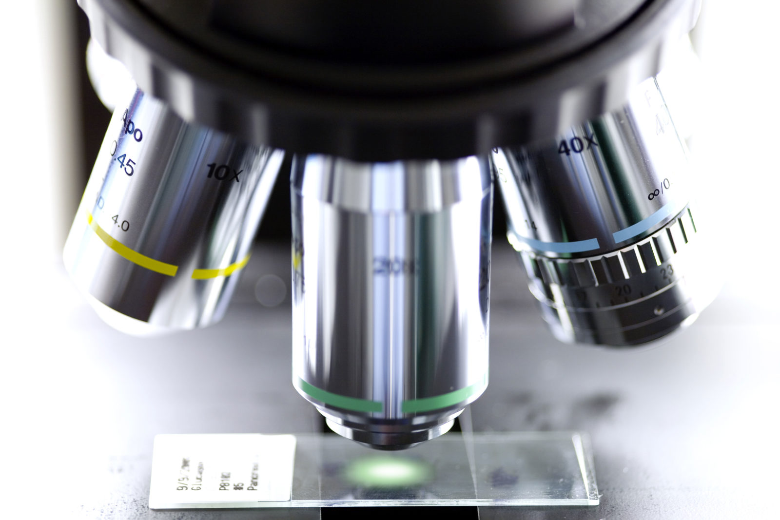 ASRM 2021 - Groundbreaking Fertility Research - San Antonio Fertility