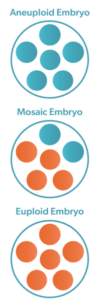 Embryo Mosaicism - Mosaic Embryos - IVF - San Antonio Fertility Center
